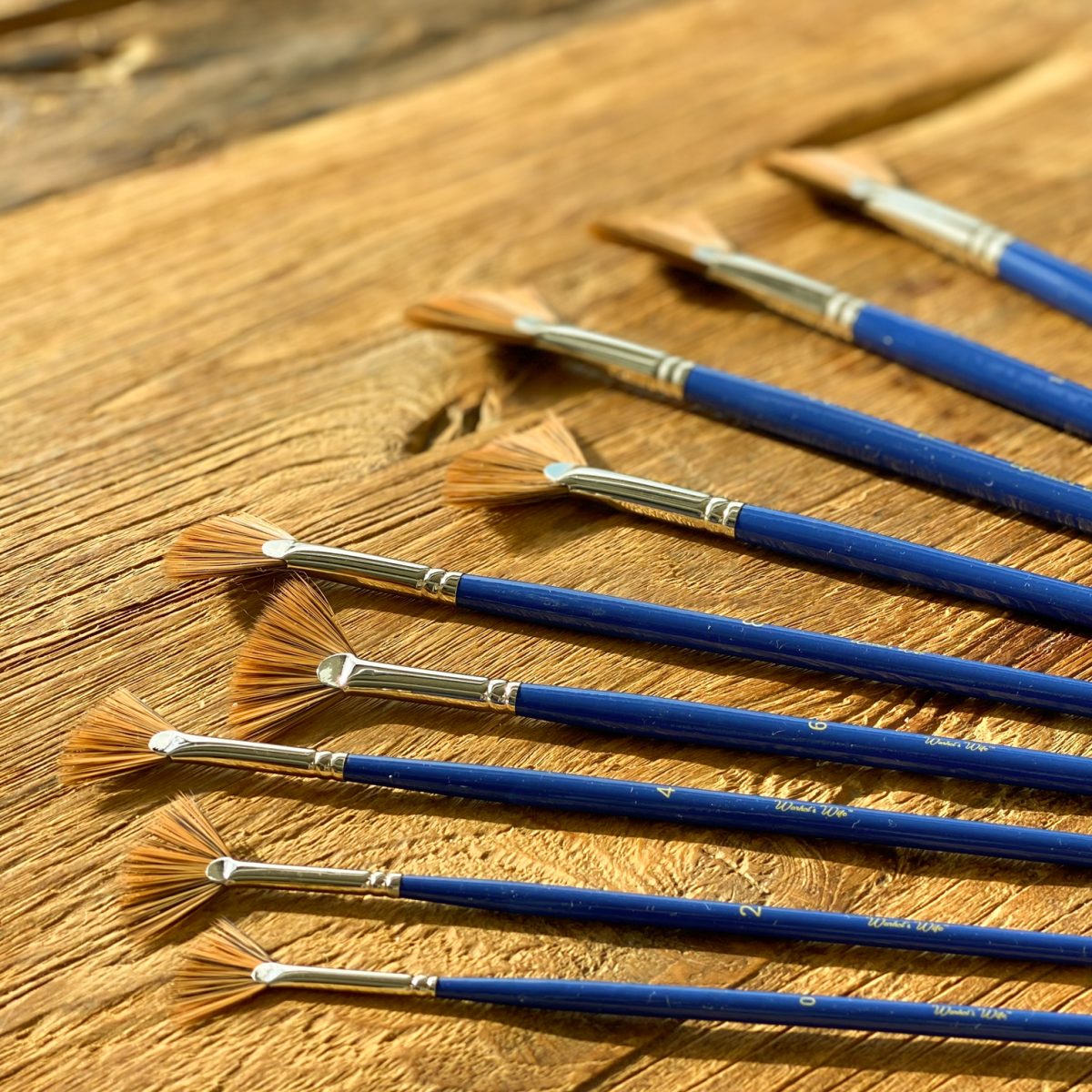 #12 Fan Paintbrush - Taklon Fan Brush - Art Materials Australia Online