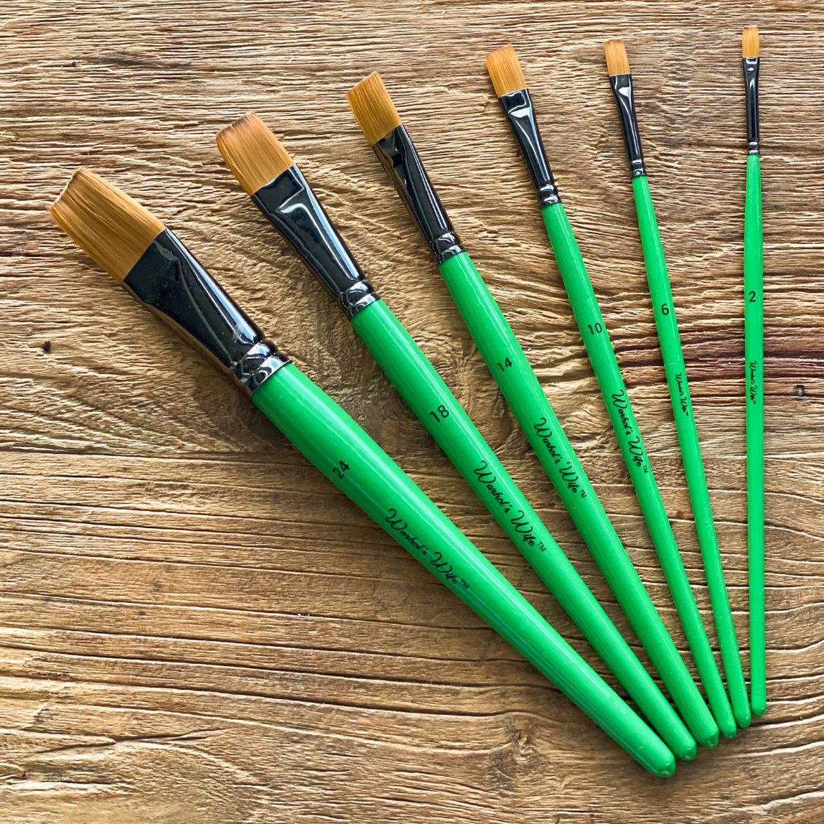 Long Flat Paintbrush Set - Warhol's Wife - Art Materials Australia Online