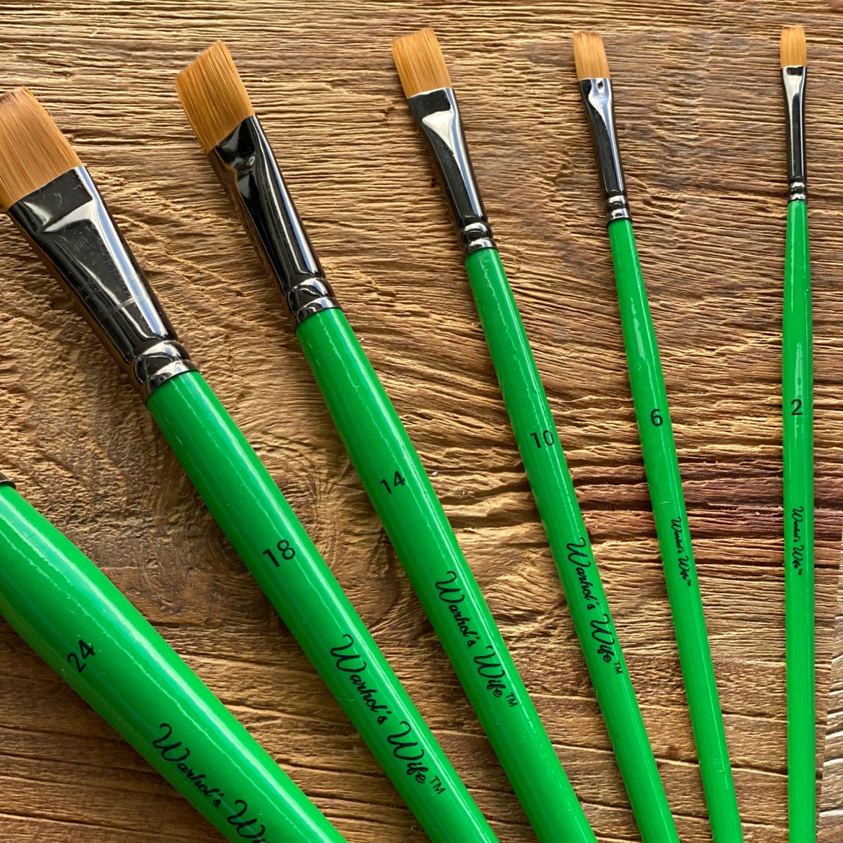 Long Flat Paintbrush Set - Warhol's Wife - Art Materials Australia Online